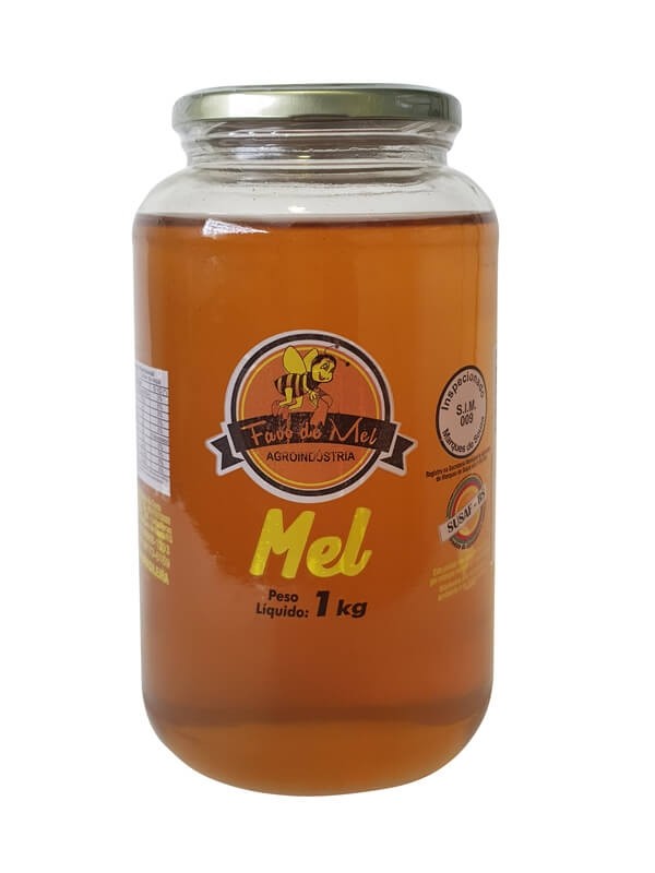 TH Food | Mel Puro no Vidro 1kg | Qualidade e Sabor Natural